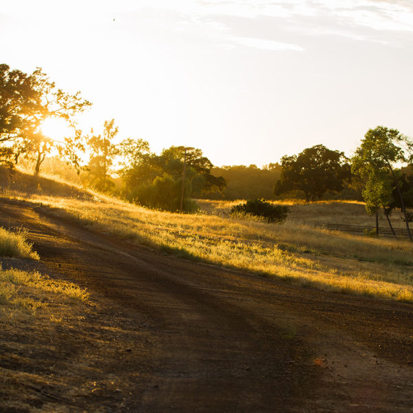 Outpatient Rehab Santa Rosa CA | Pura Vida Recovery