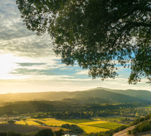 Pura Vida Alcohol & Drug Rehab Center in Santa Rosa, CA